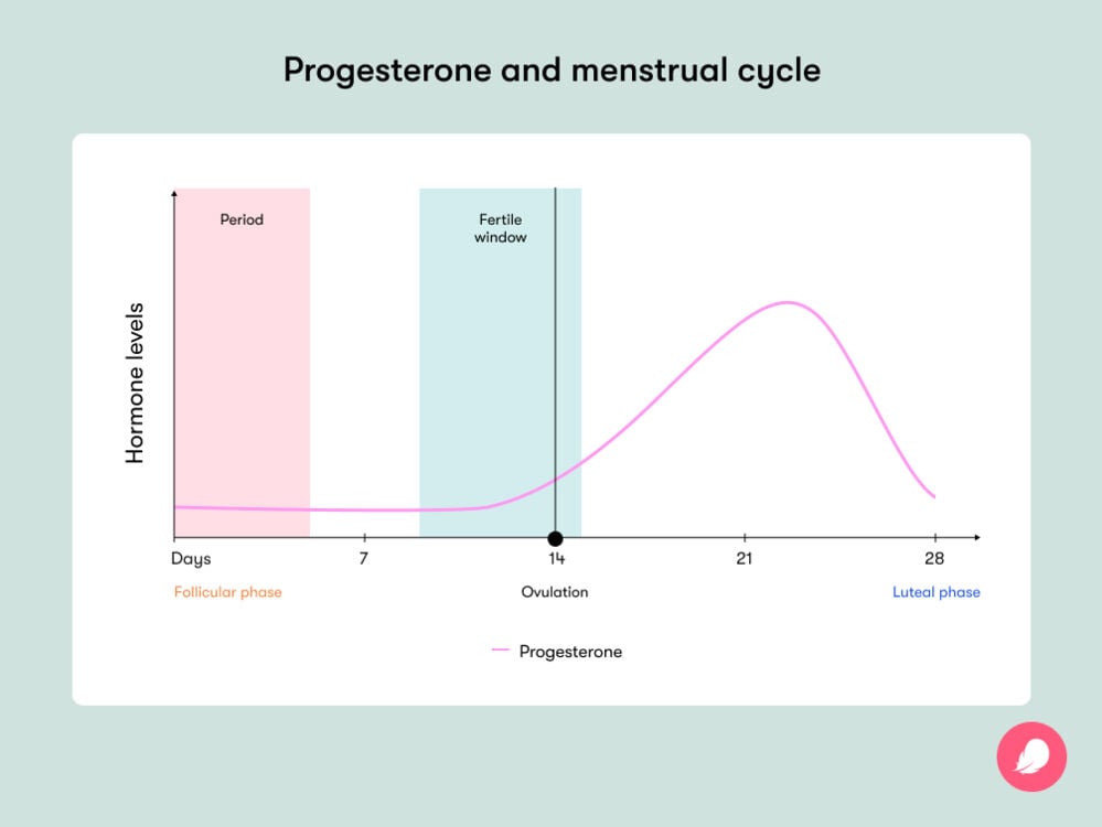 Can progesterone help you get pregnant? | Flo Can progesterone help you get pregnant? | Flo